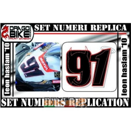 Race Number 91 Haslam 2010